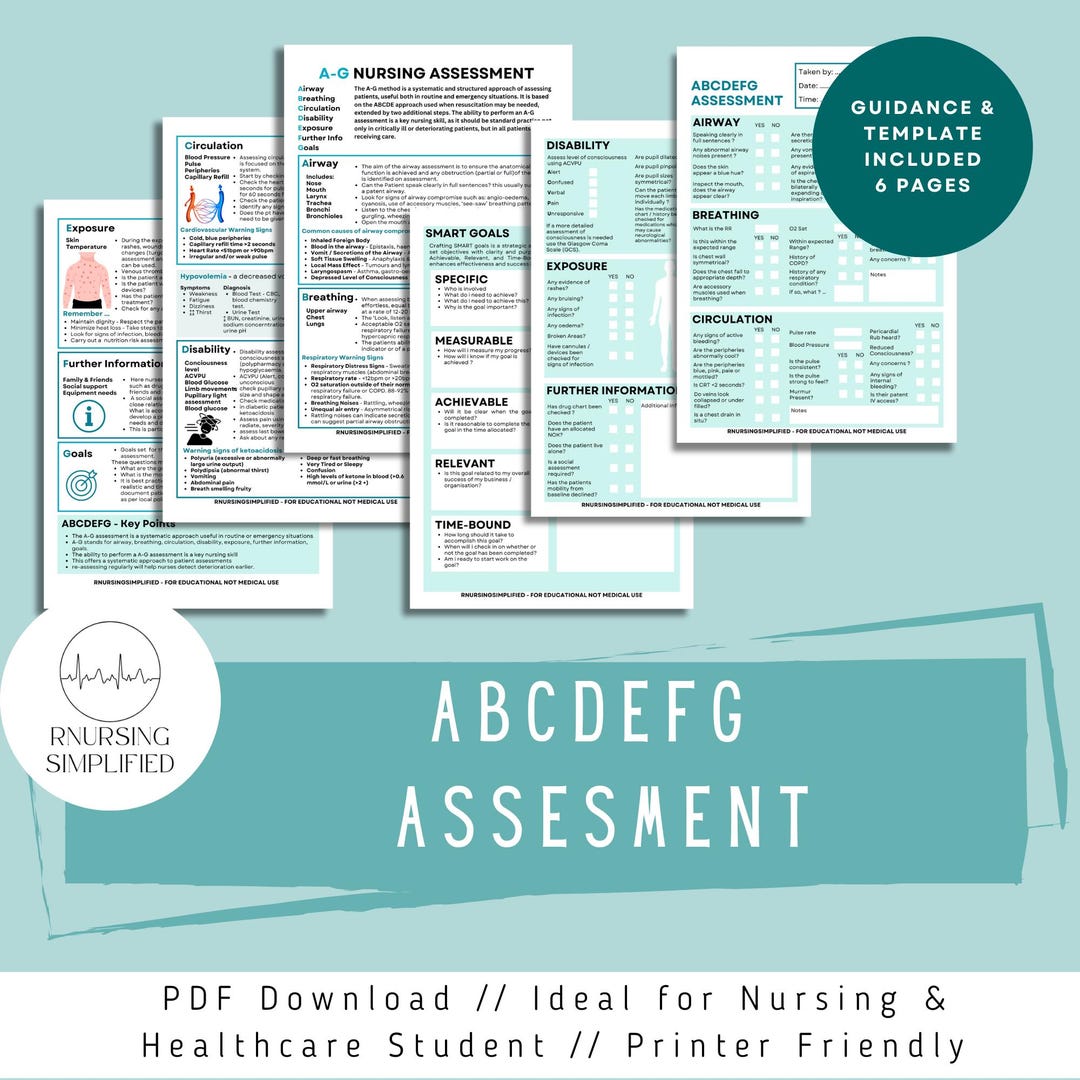 ABCDEFG Assessment / Nursing / Template / Guide / Clinical / Medical - Etsy