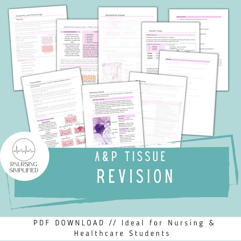 Tissue Revision Notes Nursing and Healthcare Student - Etsy