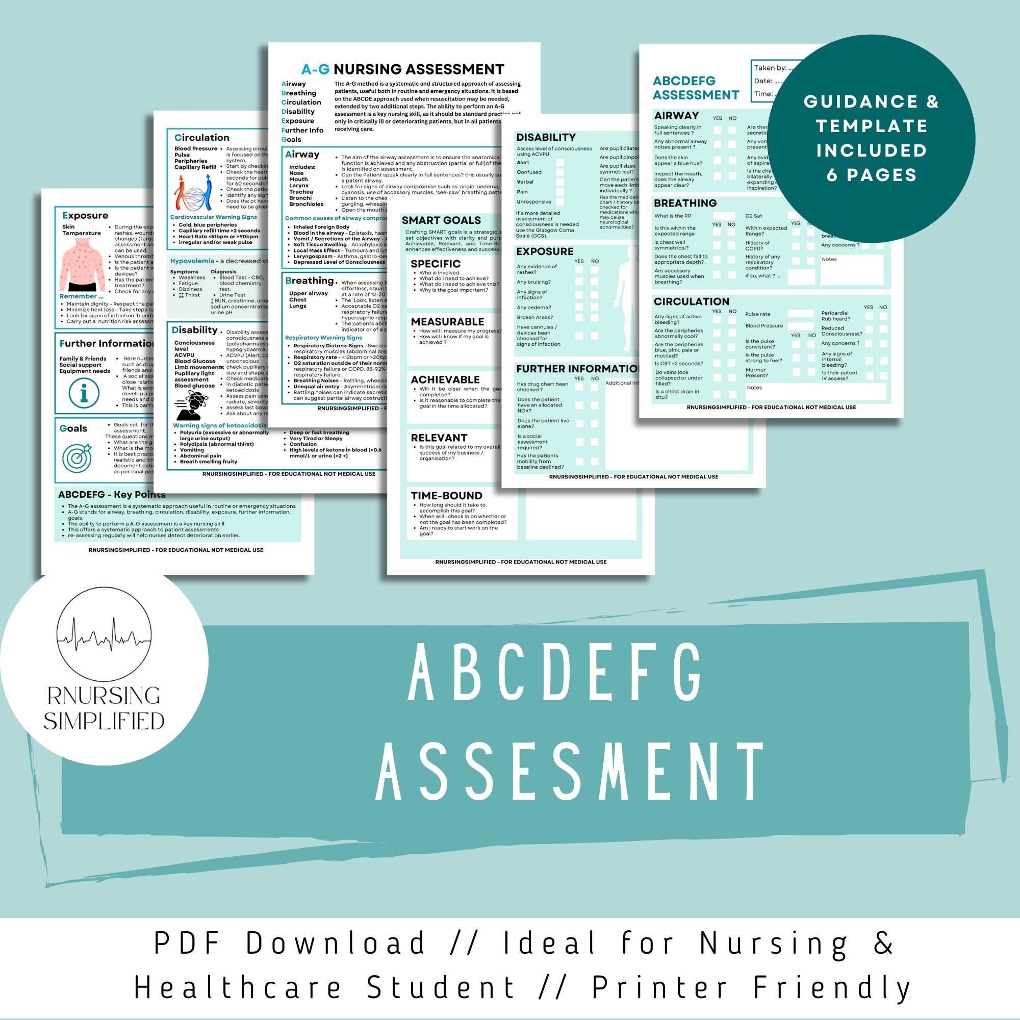 ABCDEFG Assessment / Nursing / Template / Guide / Clinical / Medical - Etsy
