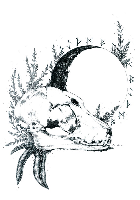 Original A3 New Moon Flying Fox | Etsy