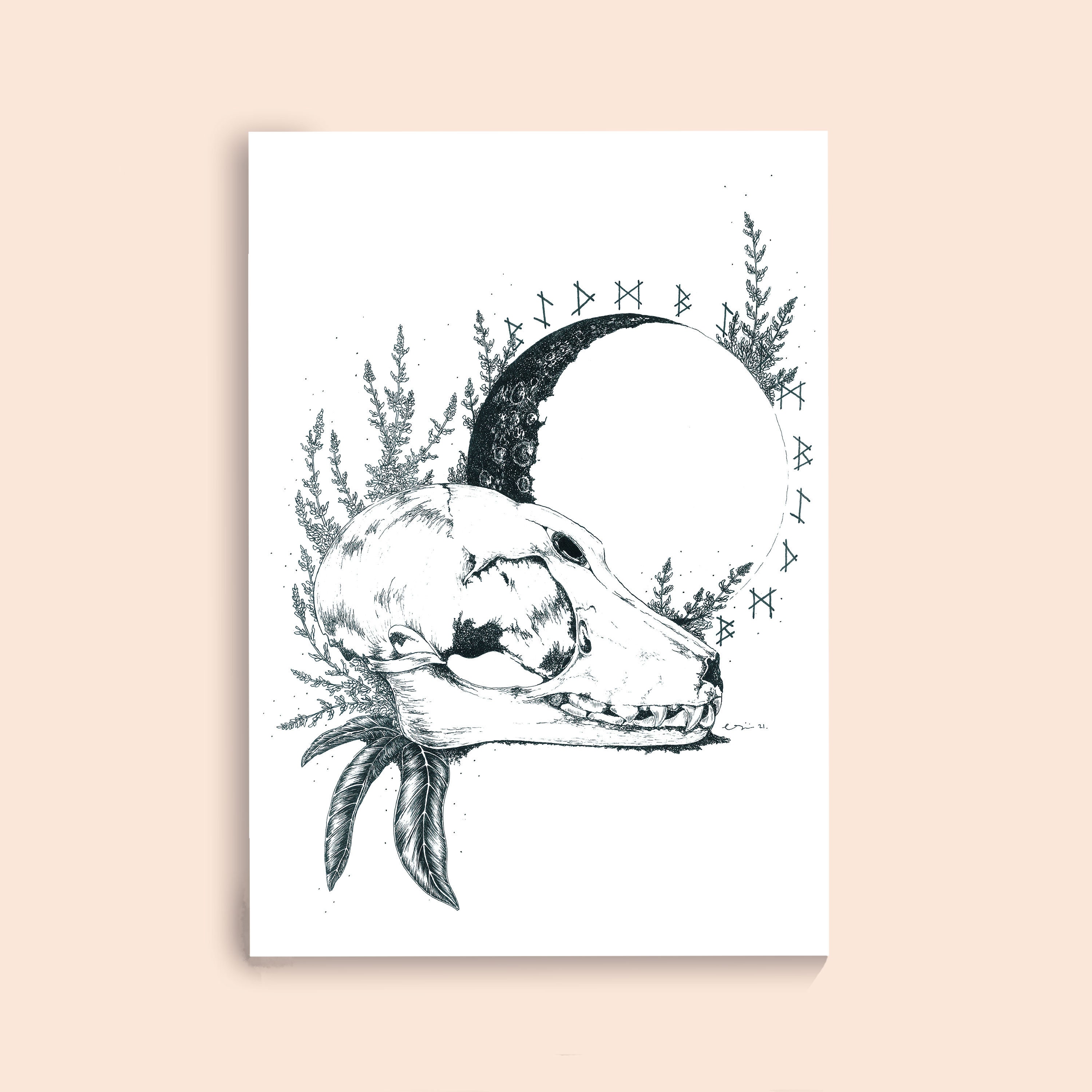 New Moon Flying Fox Skull A4 Print - Etsy