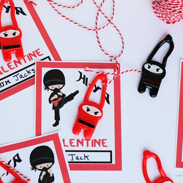 Ninja Valentine - Etsy