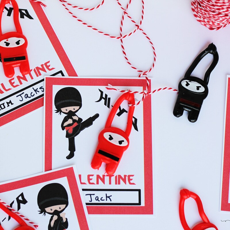 Ninja Valentine - Etsy