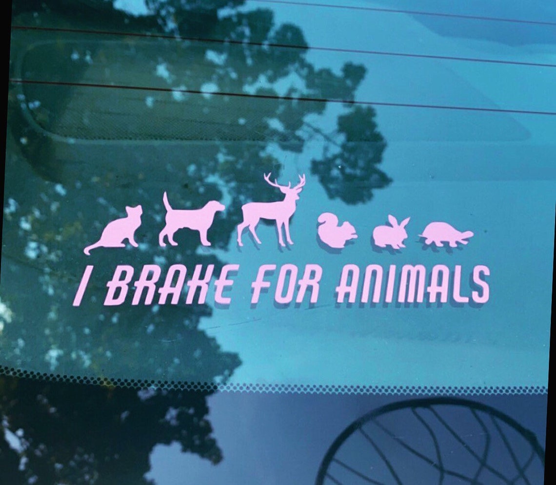 I Brake for Animals Cute Bumper Sticker Vinyl Decal - Etsy