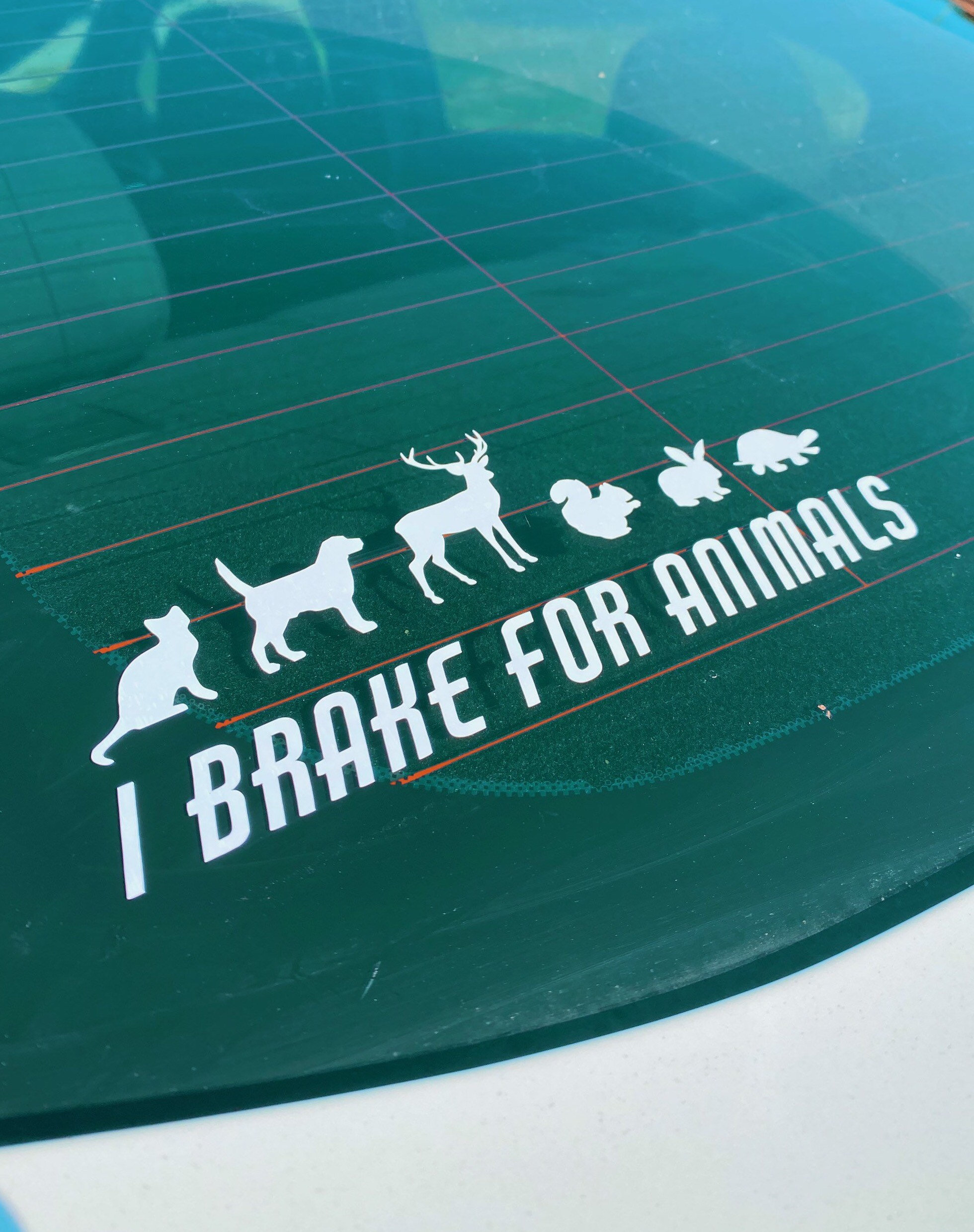I Brake for Animals Cute Bumper Sticker Vinyl Decal - Etsy UK