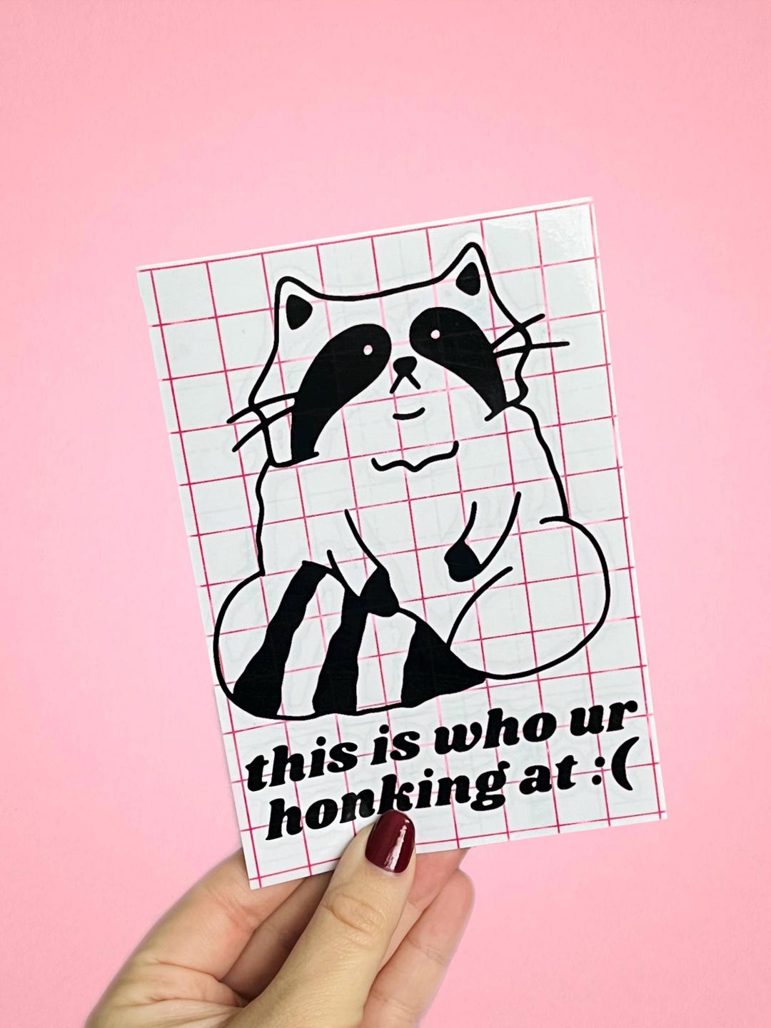 This is Who Ur Honking at :( Cute Raccoon Bumper Sticker Vinyl Car ...