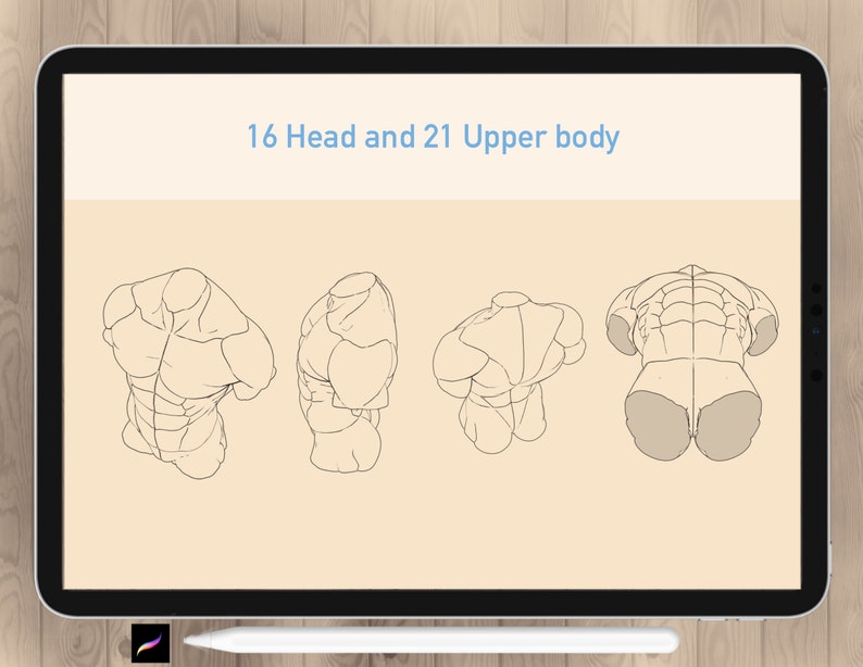 37 Procreate Male Head Reference Stamps Figure Guide Stamps - Etsy