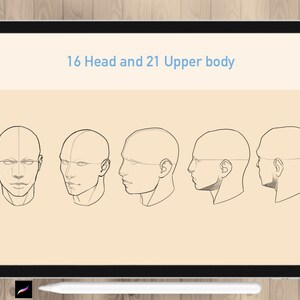 37 Procreate Male Head Reference Stamps, Figure Guide Stamps, Male ...