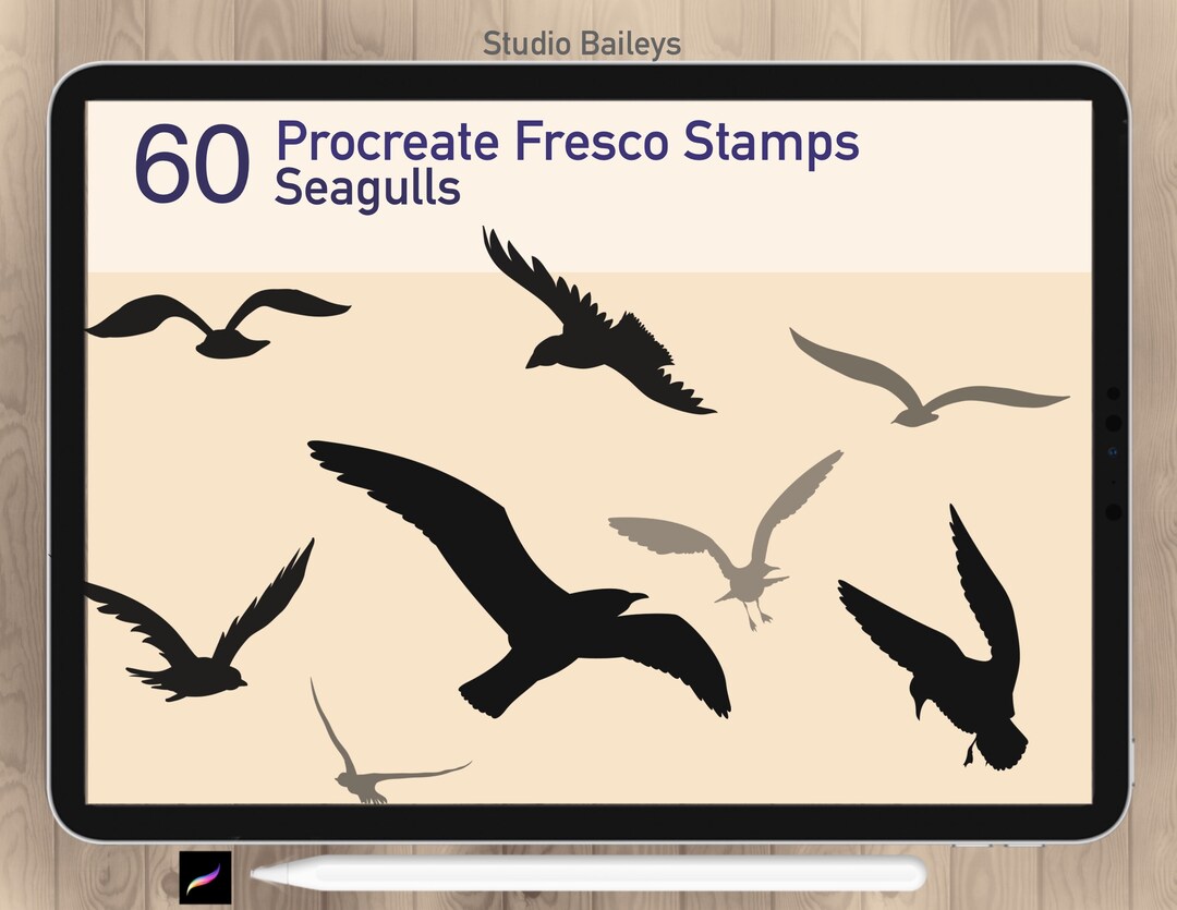 60 Procreate Seagulls Stamps - Procreate Bird Stamps - Procreate Fresco ...