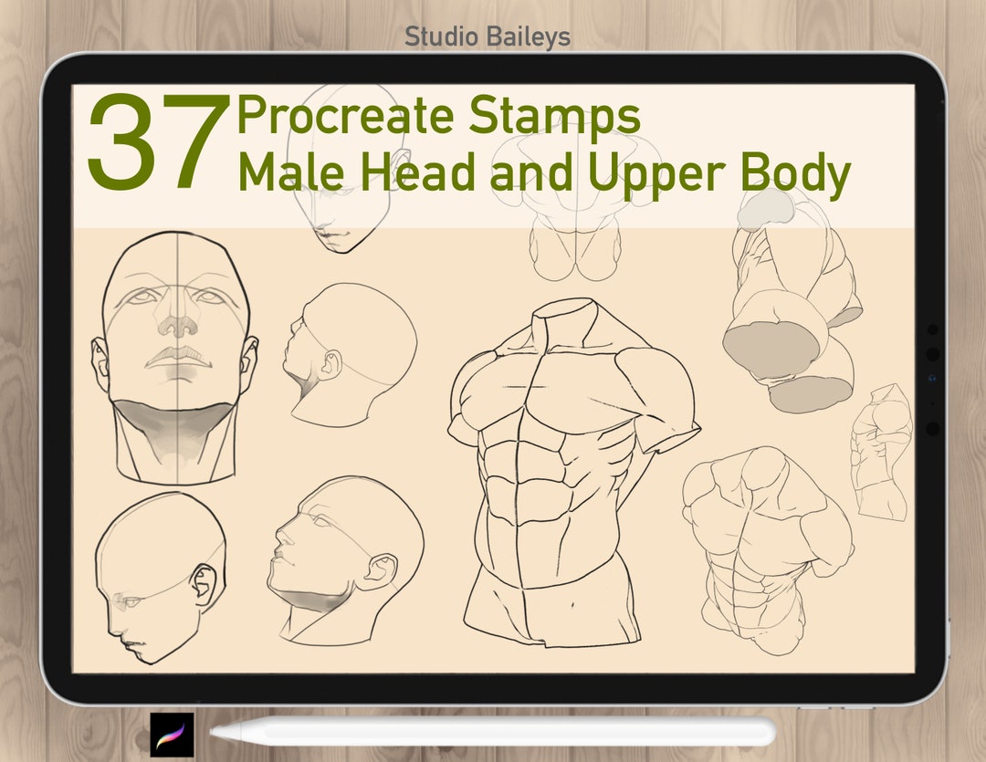 37 Procreate Male Head Reference Stamps, Figure Guide Stamps, Male ...