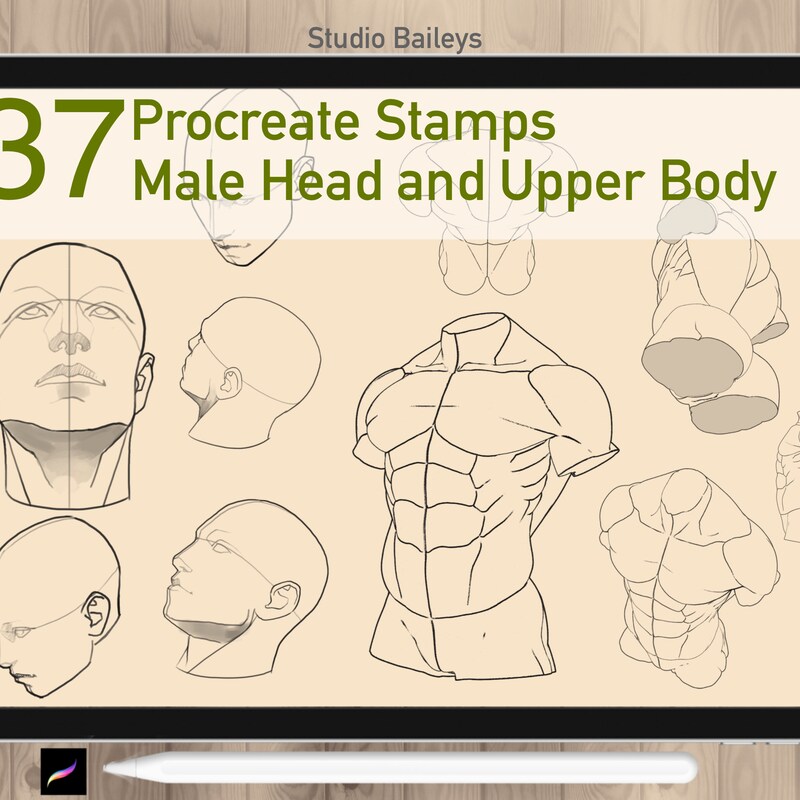 Anime Head Reference Male - Etsy