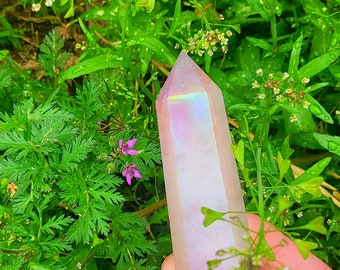 Rose Quartz Clam Shells With Aura Rose Quartz Mini Sphere - Etsy