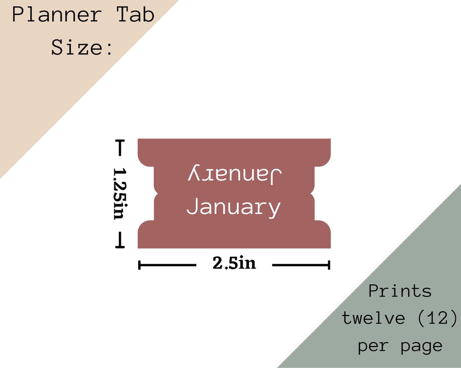 Printable Earth Tones Monthly Planner Tabs | Planner Divider Pages ...