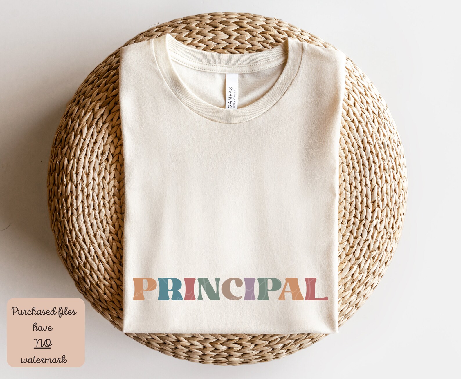 Principal PNG, School Principal Png, Principal Sublimation PNG ...