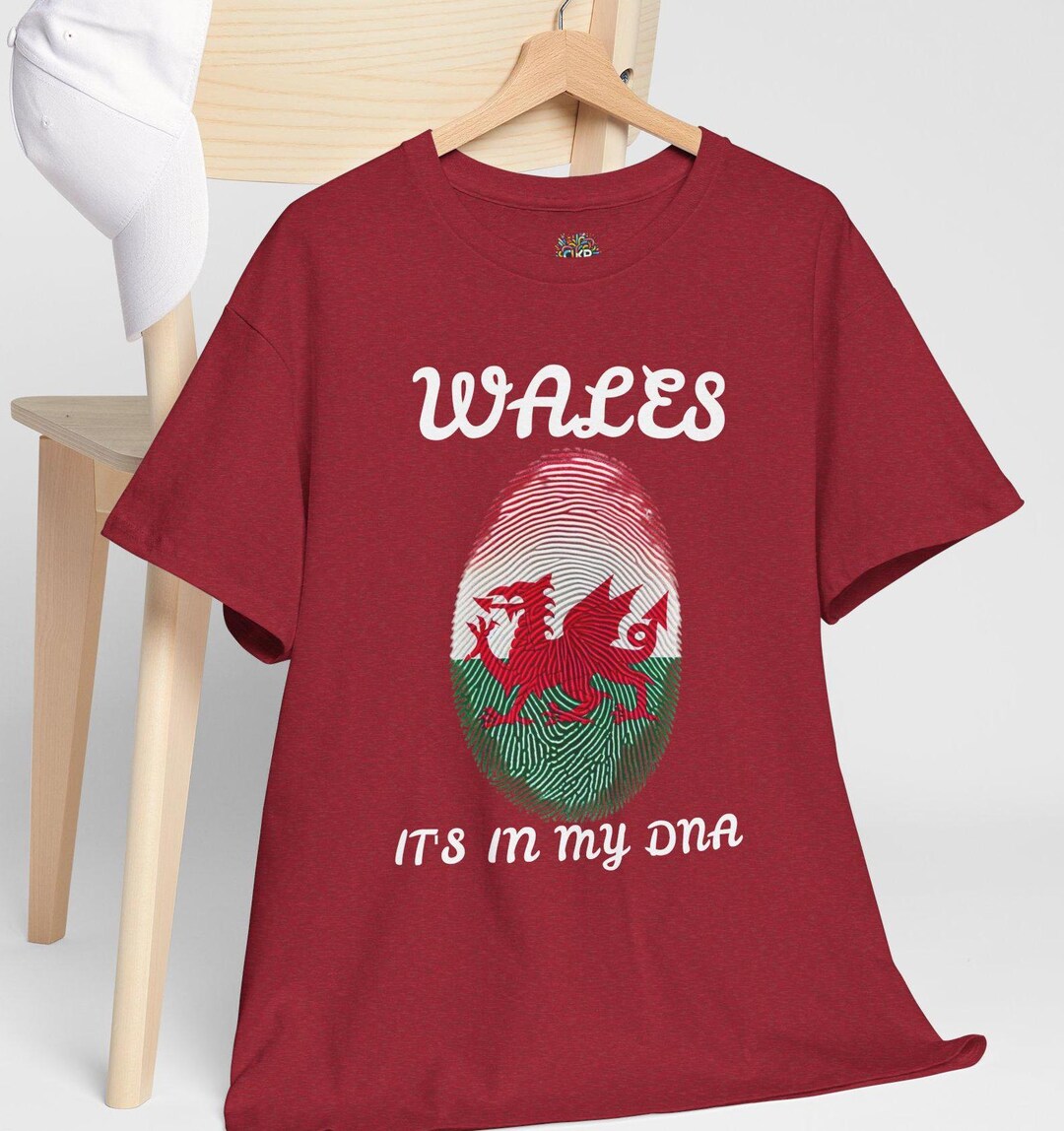 Welsh DNA Slogan Tee, St David's Day Gift Idea, Unisex T-shirt, Wales ...