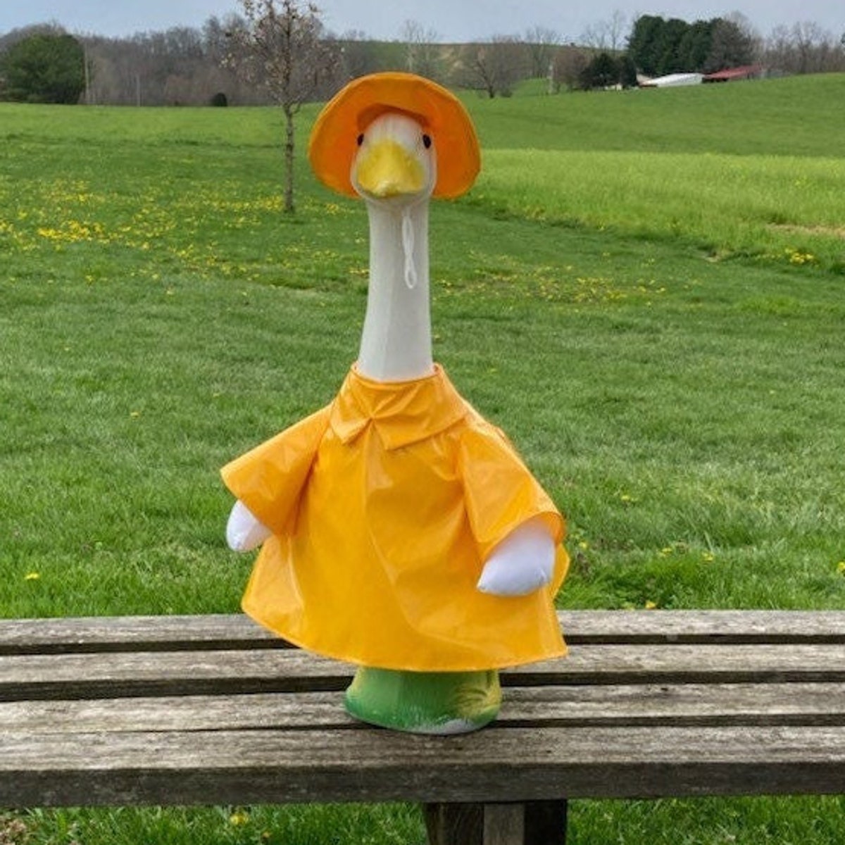 Grace Mackenzie Ferrell and James Richard Reed's Wedding Registry on Zola