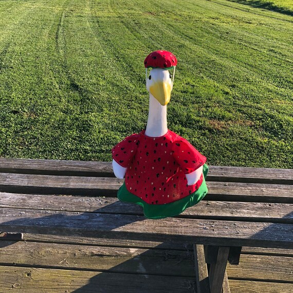 Duck And Goose Costume