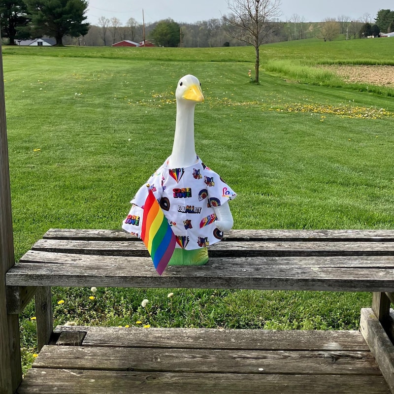 Gay For Porch Etsy 5208