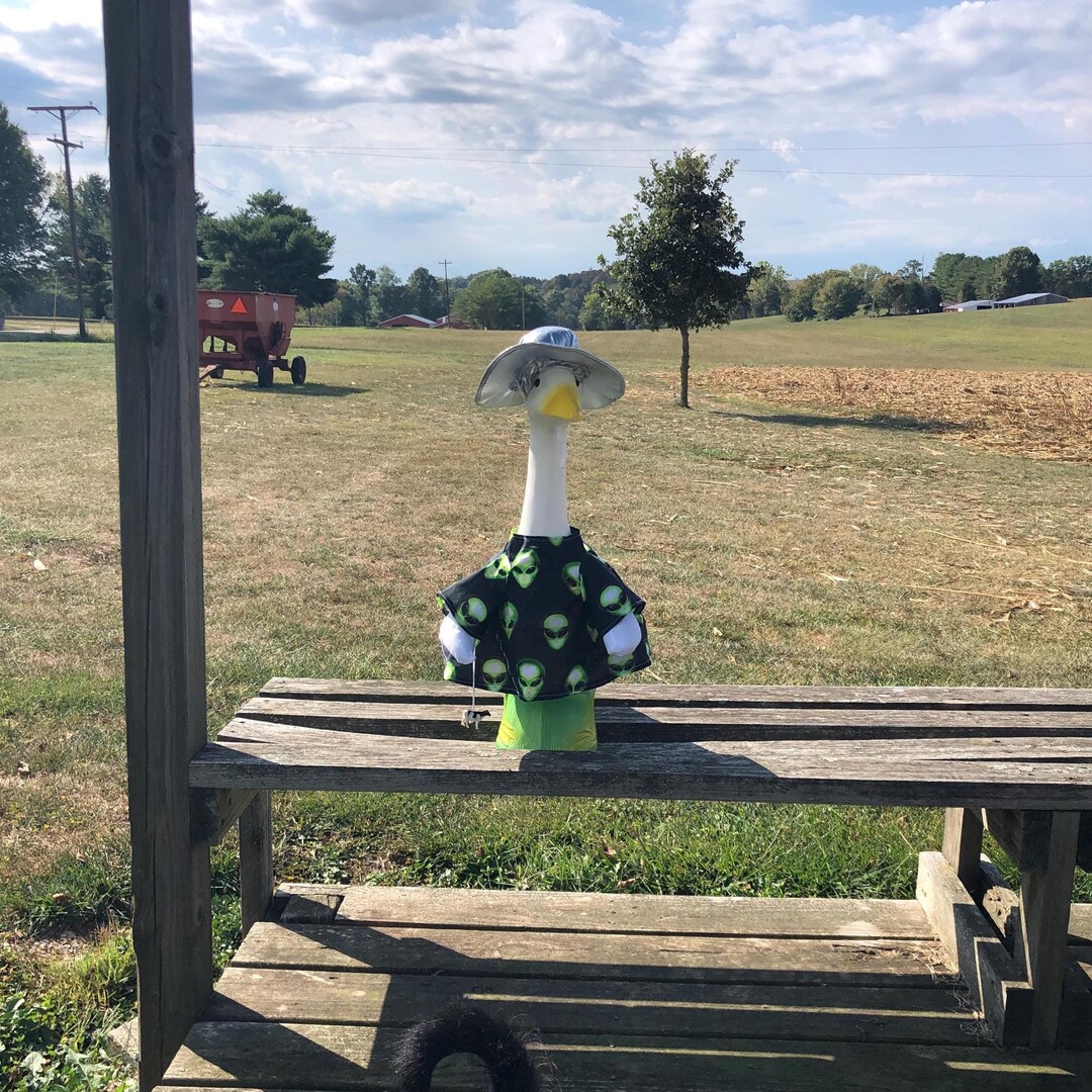 Alien Invasion Costume Outfit for 23-28 Inch (large) Concrete or ...