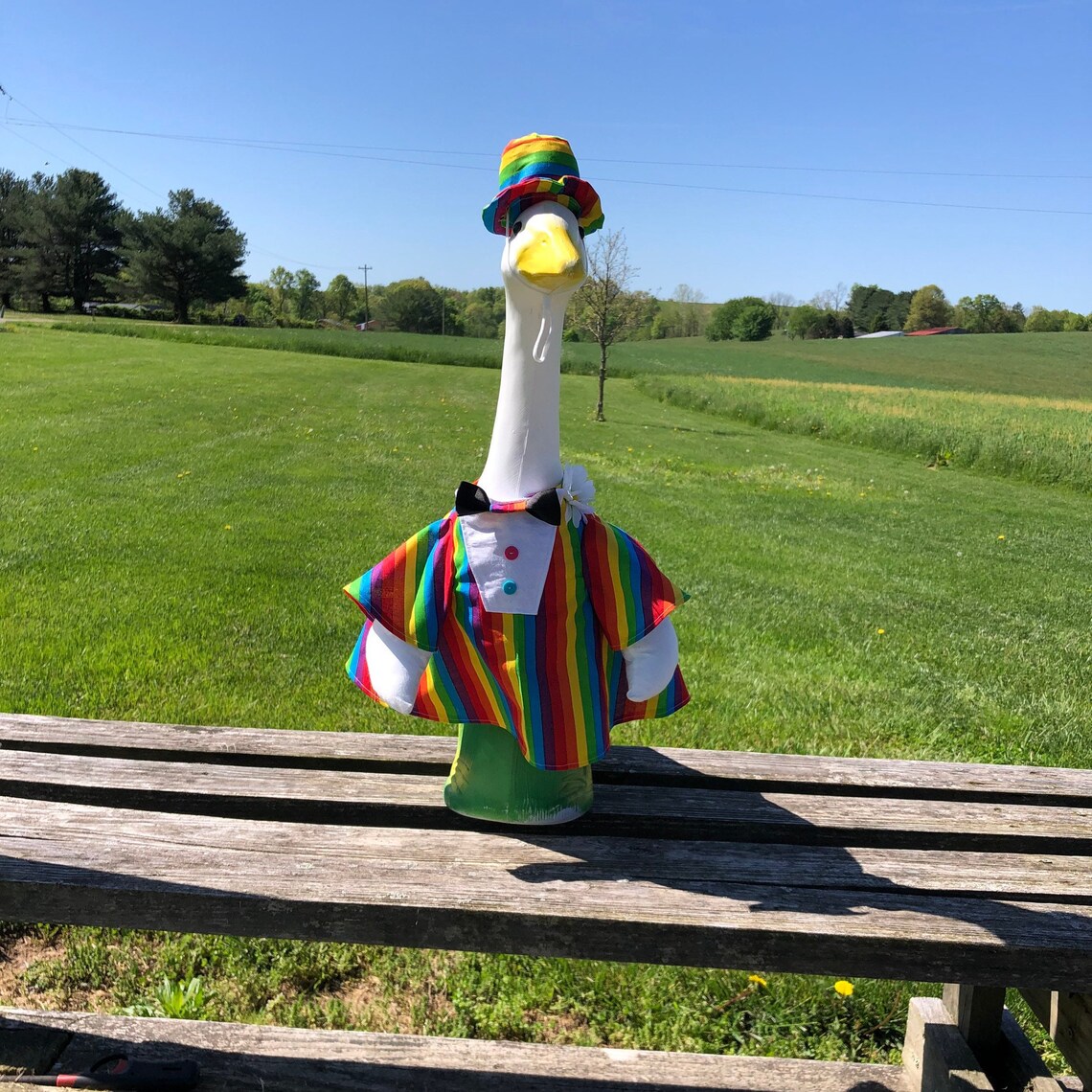 Rainbow LGBTQ Pride Tuxedo W/ Top Hat for 24 large - Etsy