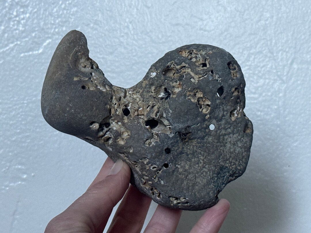15 Oz Genuine HOLEY HAG STONE Natural Hole Indent Crevice Pebble Odin ...