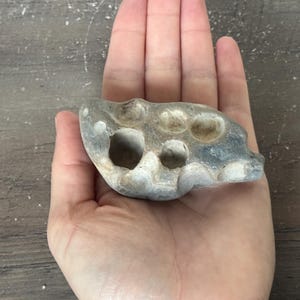 2 Oz Genuine HOLEY HOLED STONE Indent Dotted Sea Creviced Ocean Beach ...