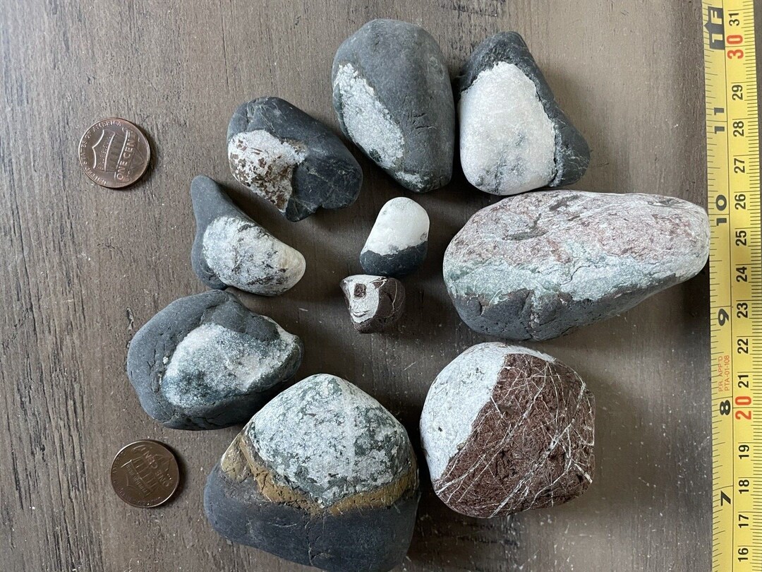 1lb Unique Natural HALF & HALF STONE White Grey Halves Ocean - Etsy