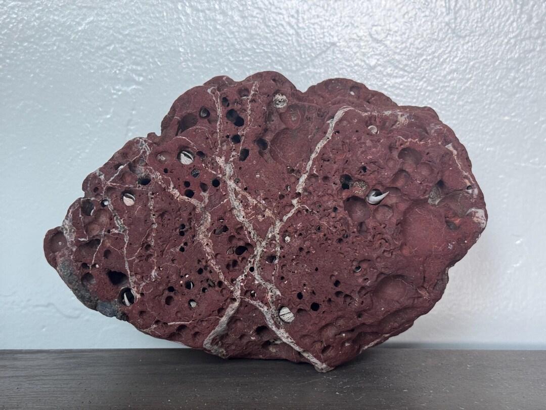 7 Lb Genuine HOLEY HOLED STONE Indent Dotted Sea Creviced Ocean Beach ...