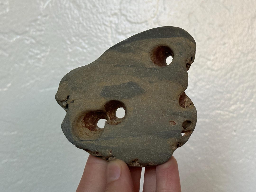 4 Oz Genuine HOLEY HAG STONE Indent Hole Rock Ocean Beach Pebble Faerie ...