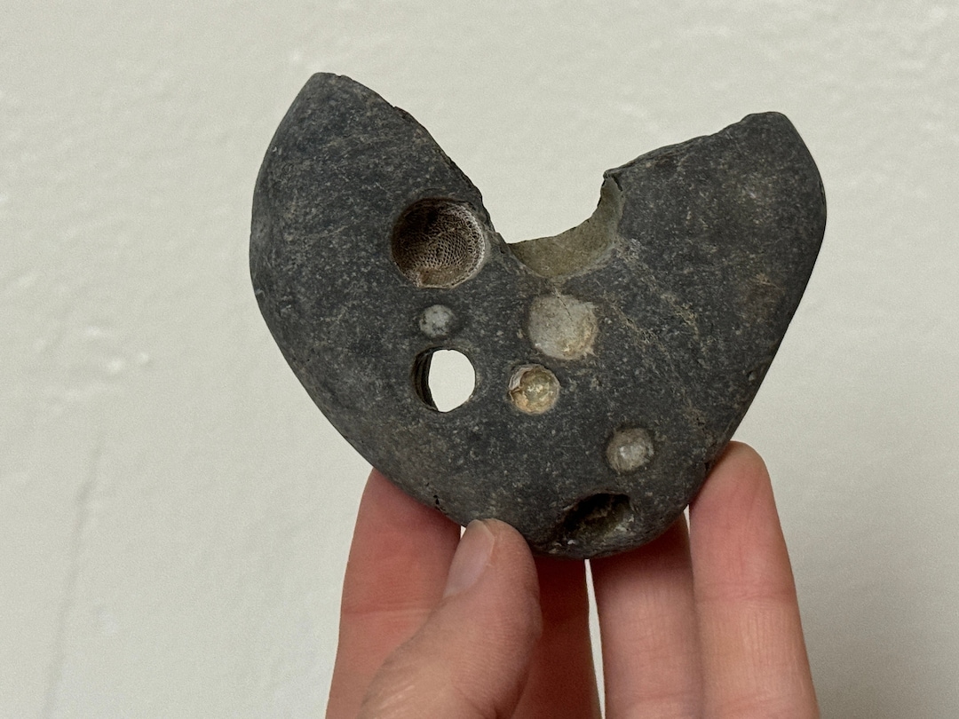 4 Oz Genuine HOLEY HAG STONE Natural Hole Indent Crevice Pebble Odin ...