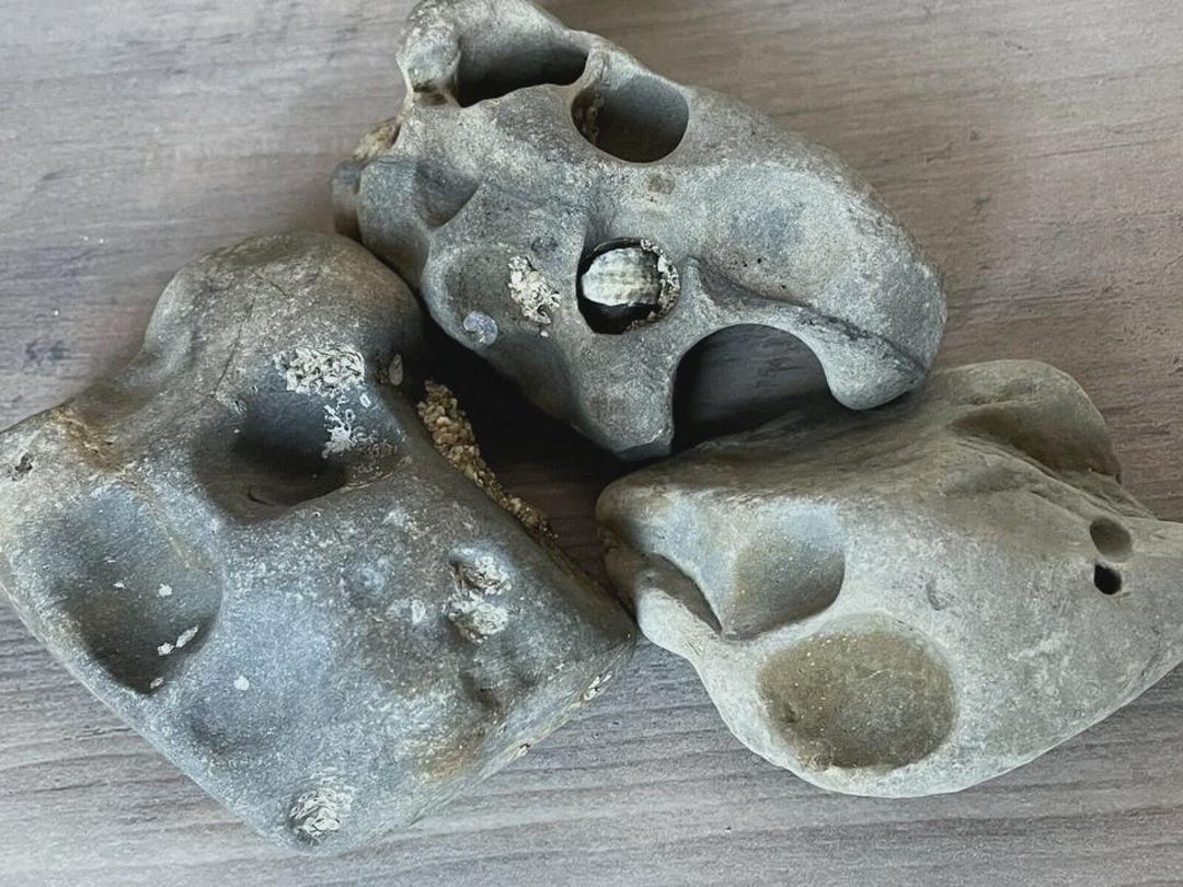 Naturally Formed HOLEY HOLED ROCKS Hollowed Out Indent Stone Coastal ...