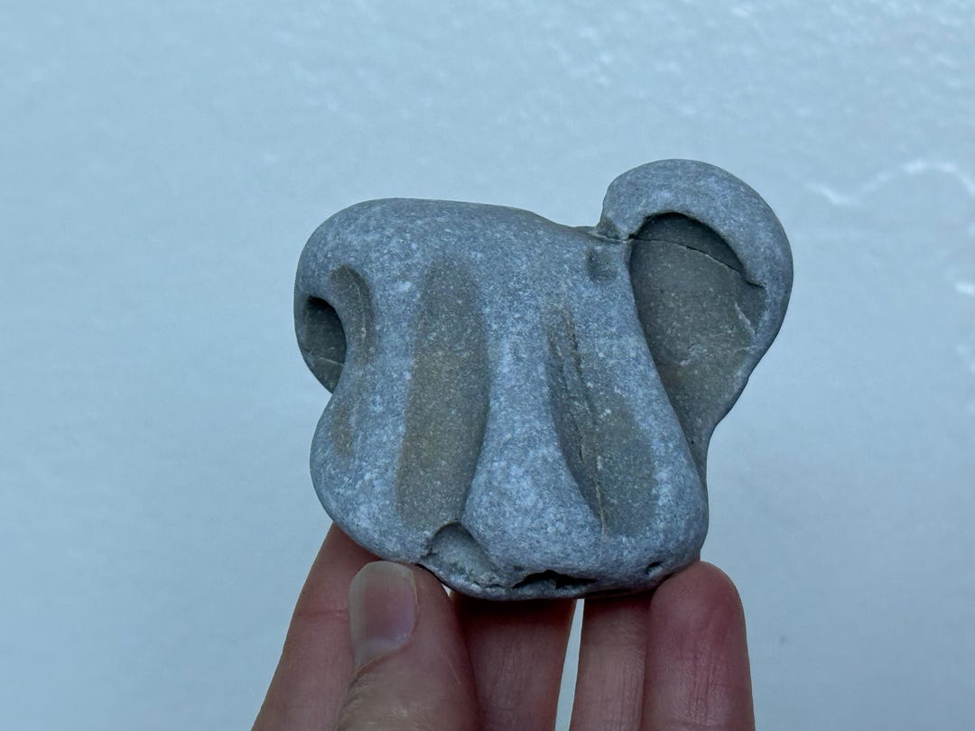 3 Oz Genuine HOLEY HOLED STONE Indent Dotted Sea Creviced Ocean Beach ...