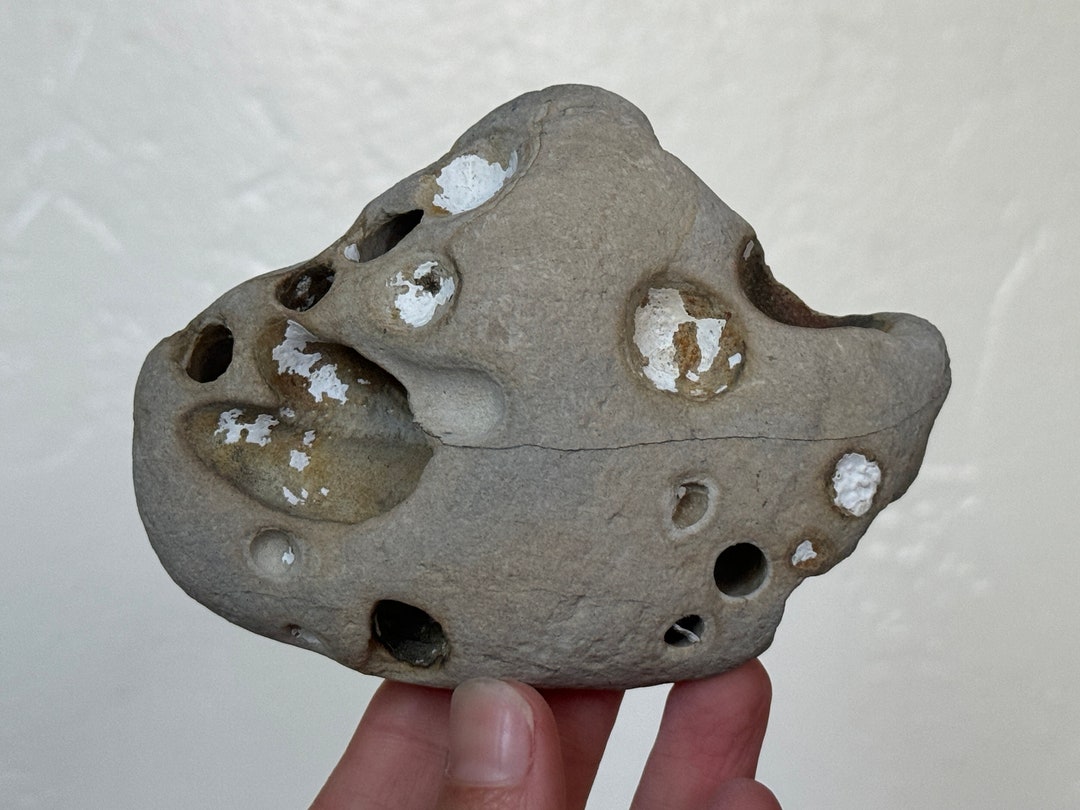 5 Oz Beautiful HOLEY HAG STONE Wiccan Magic Viking Rock Ocean Beach ...