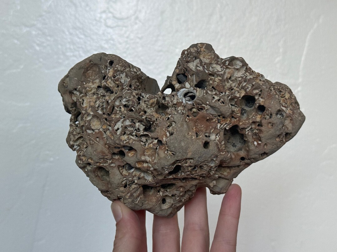 1+lb Genuine HOLEY HEART HAG Stone Heart-shaped Rock Tons of Indents ...