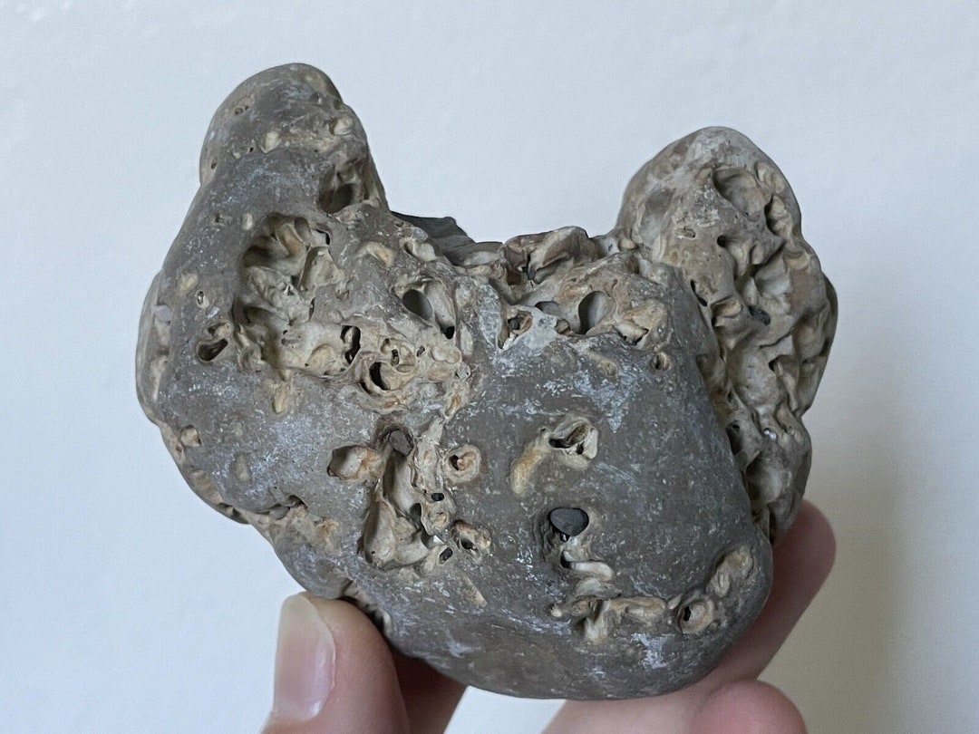 6oz Genuine HOLEY HEART HAG Stone Heart-shaped Rock Tons of Indents ...