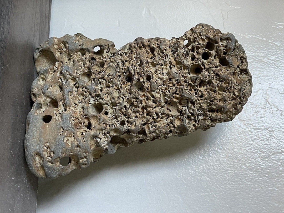 6lb Natural Extra Large HOLEY HAG STONE Hex Odin Adder - Etsy