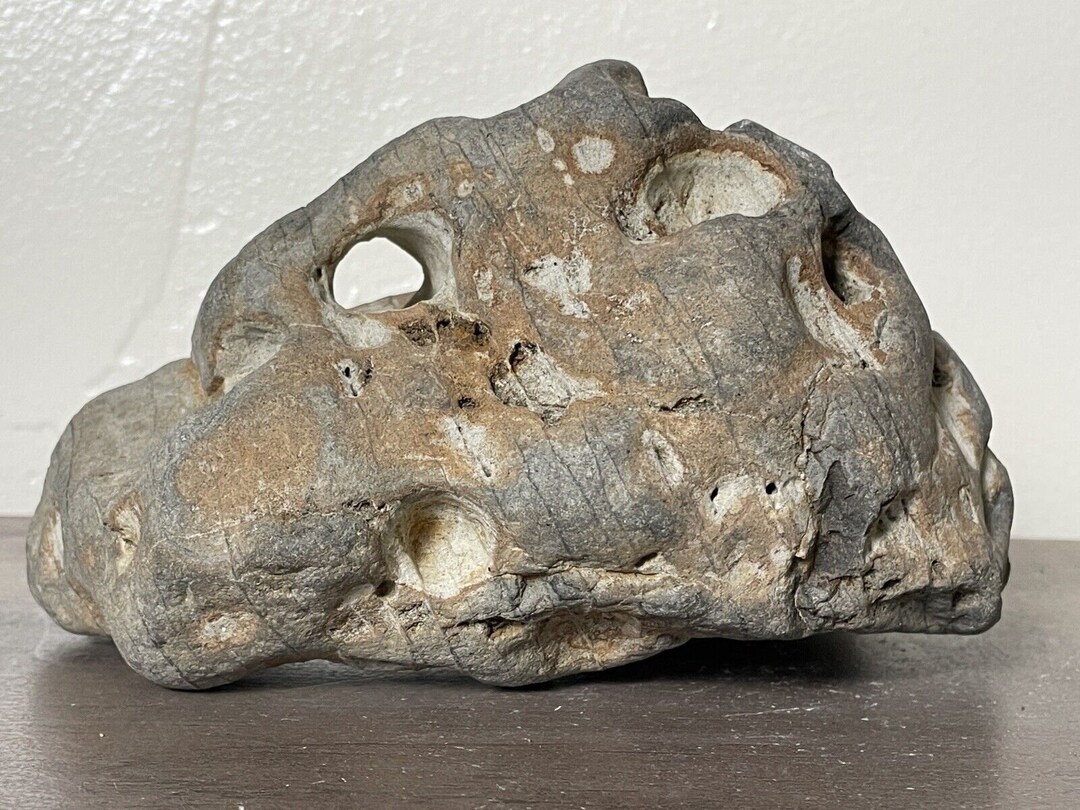 4lb Genuine Natural HOLEY HAG STONE Gentle Stripe Line Rock Hex Odin ...