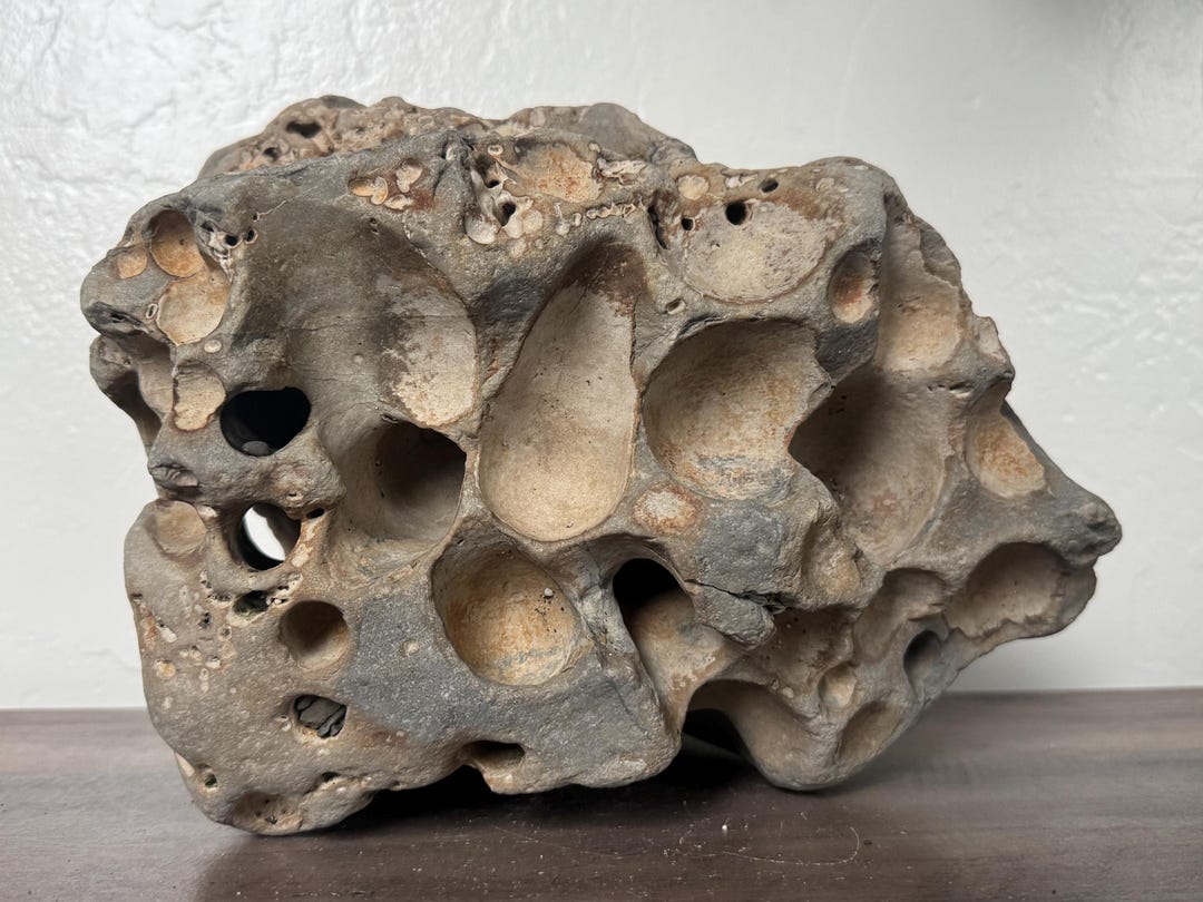 16lb Genuine Giant HOLEY HAG STONE Natural Hole Indent Crevice Pebble ...