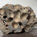 7oz Genuine HOLEY HOLED STONE Natural Indent Void Hole Indentation ...