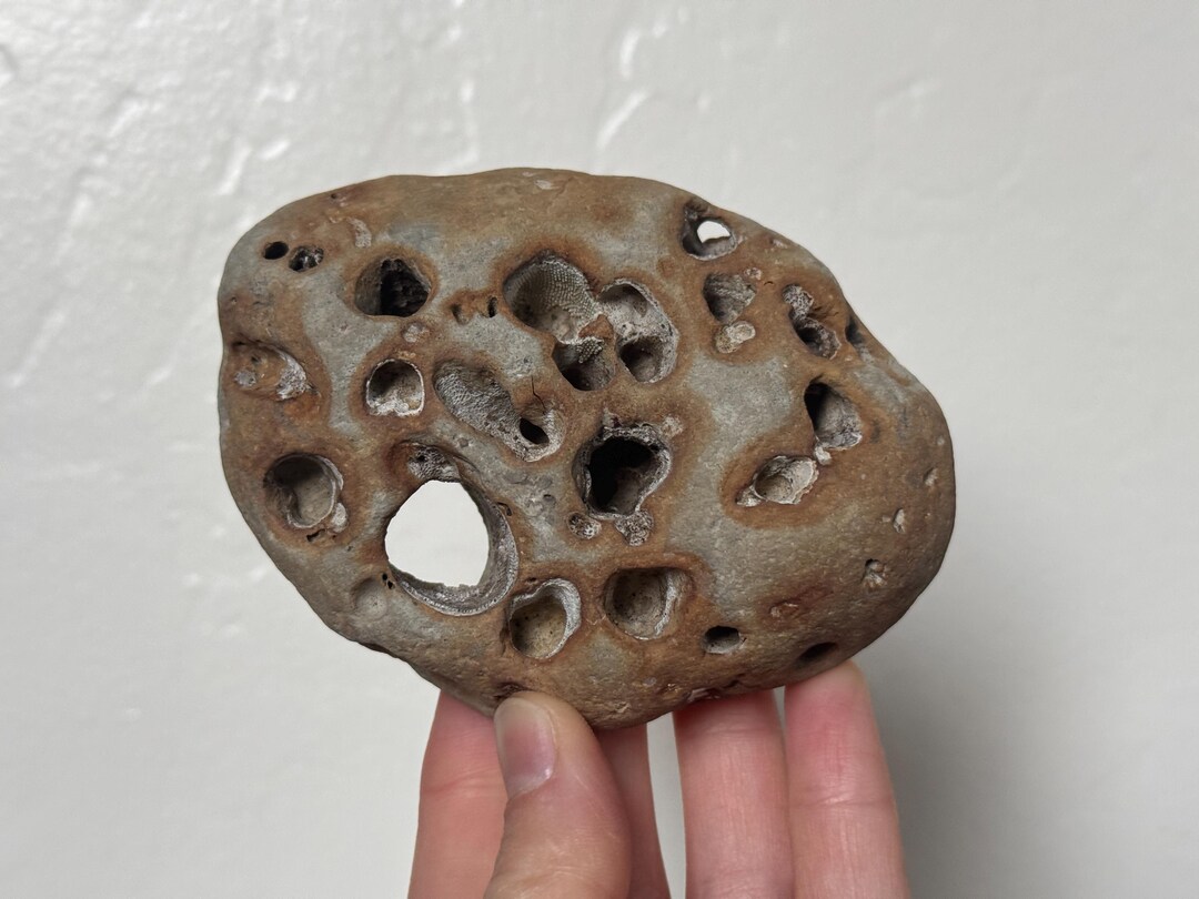 7oz Genuine HOLEY HOLED STONE Natural Indent Void Hole Indentation ...