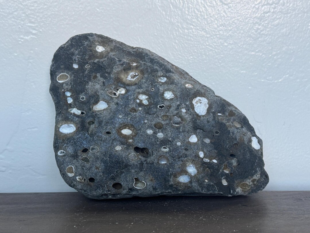 5 Lb Large Natural DECORATIVE STONE ROCK Holed Dotted Magic Crystal ...