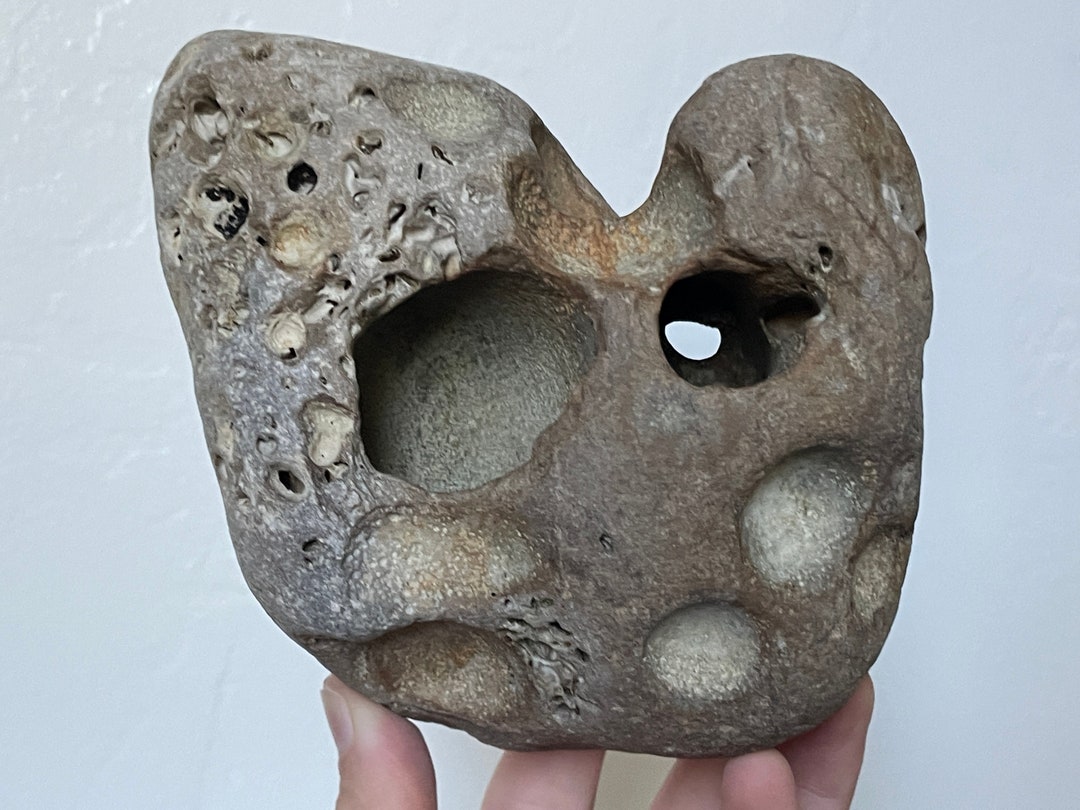 2lb Funky Beautiful Holey HEART-SHAPED HAG Stone Love Heart Valentine ...