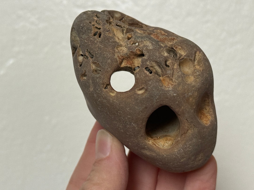 5 Oz Genuine HOLEY HAG STONE Natural Hole Indent Crevice Pebble Odin ...