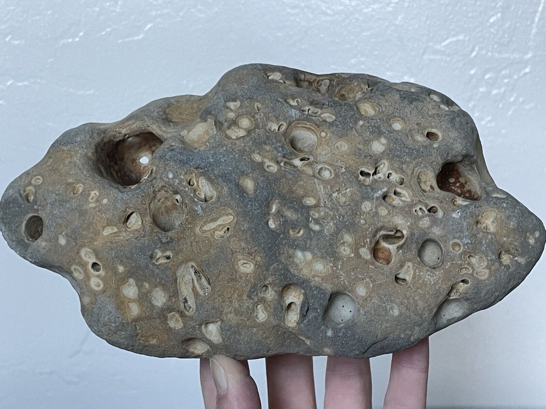 3lb Genuine HOLEY HAG STONE Natural Hole Indent Crevice Line Band ...