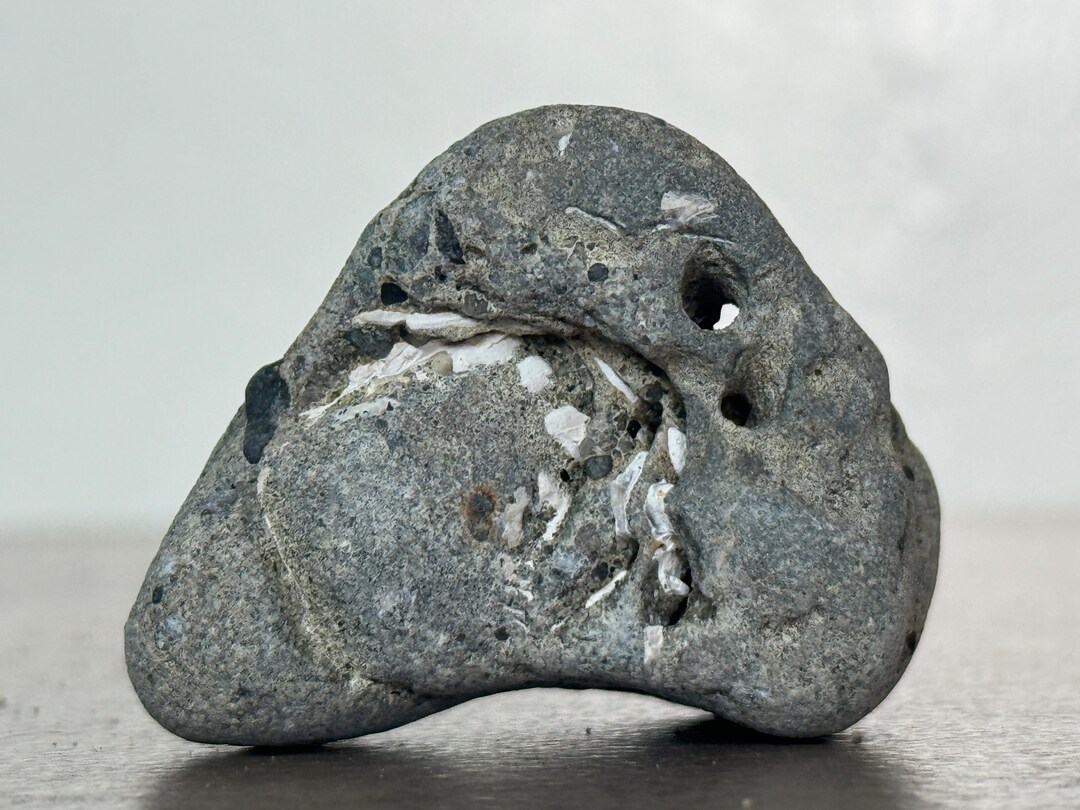 1oz Genuine Holey FOSSIL HAG STONE Natural Indentation Odin Adder ...