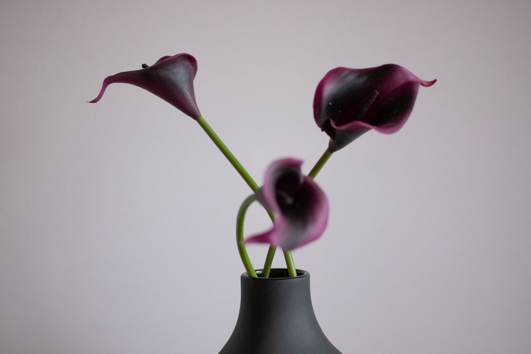 5 Stems Dark Plum Purple Calla Lily / High Quality Real Touch ...