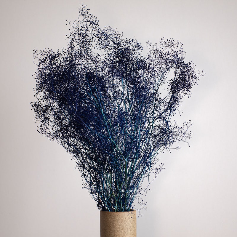 Blue Dried Flowers - Etsy