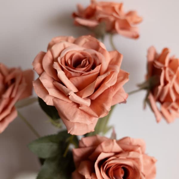 Terracotta Rose - Etsy