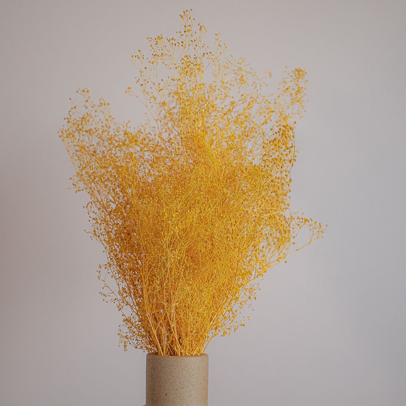 Mustard Yellow Vase - Etsy