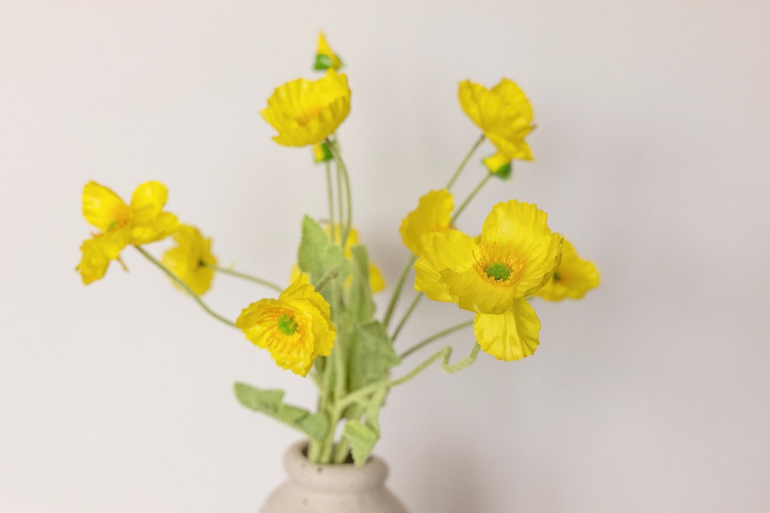 3pcs Yellow Poppy Flower / Yellow Papaver Rhoeas / High Quality ...